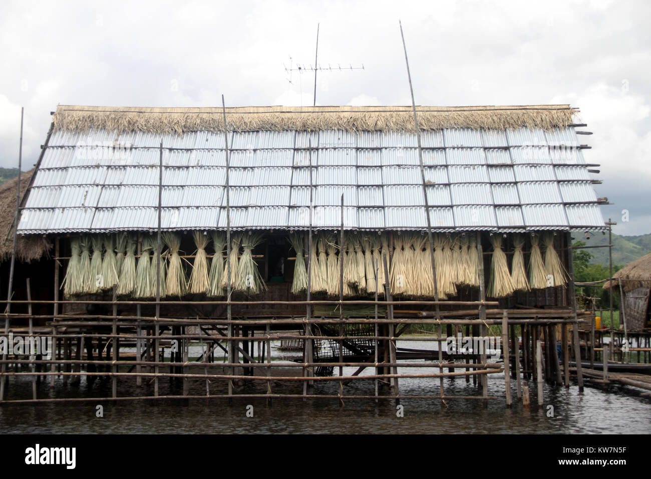 Rice straw under roof in the house on the Inle lake, Myanmar Stock ...