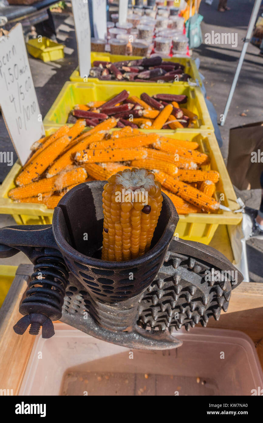 Antique cast iron corn sheller from the 19th century on display at the ...