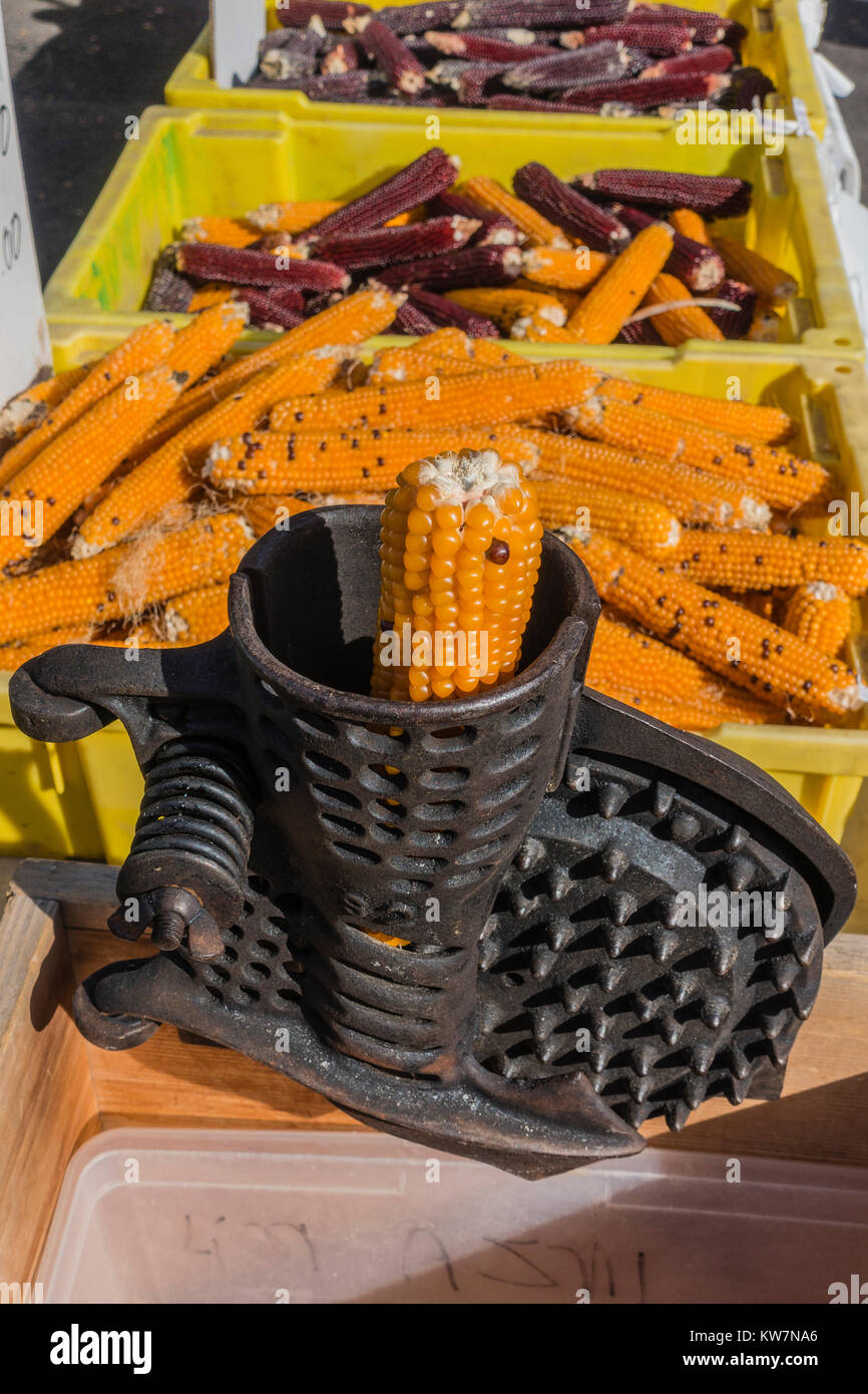 Antique cast iron corn sheller from the 19th century on display at the ...