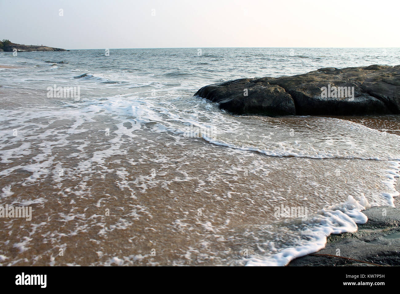 Kerala sea shells hi-res stock photography and images - Alamy