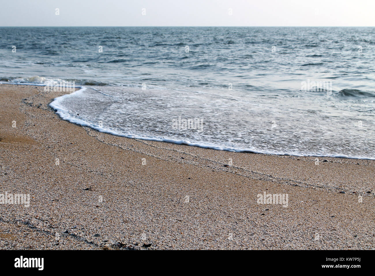 Kerala sea shells hi-res stock photography and images - Alamy