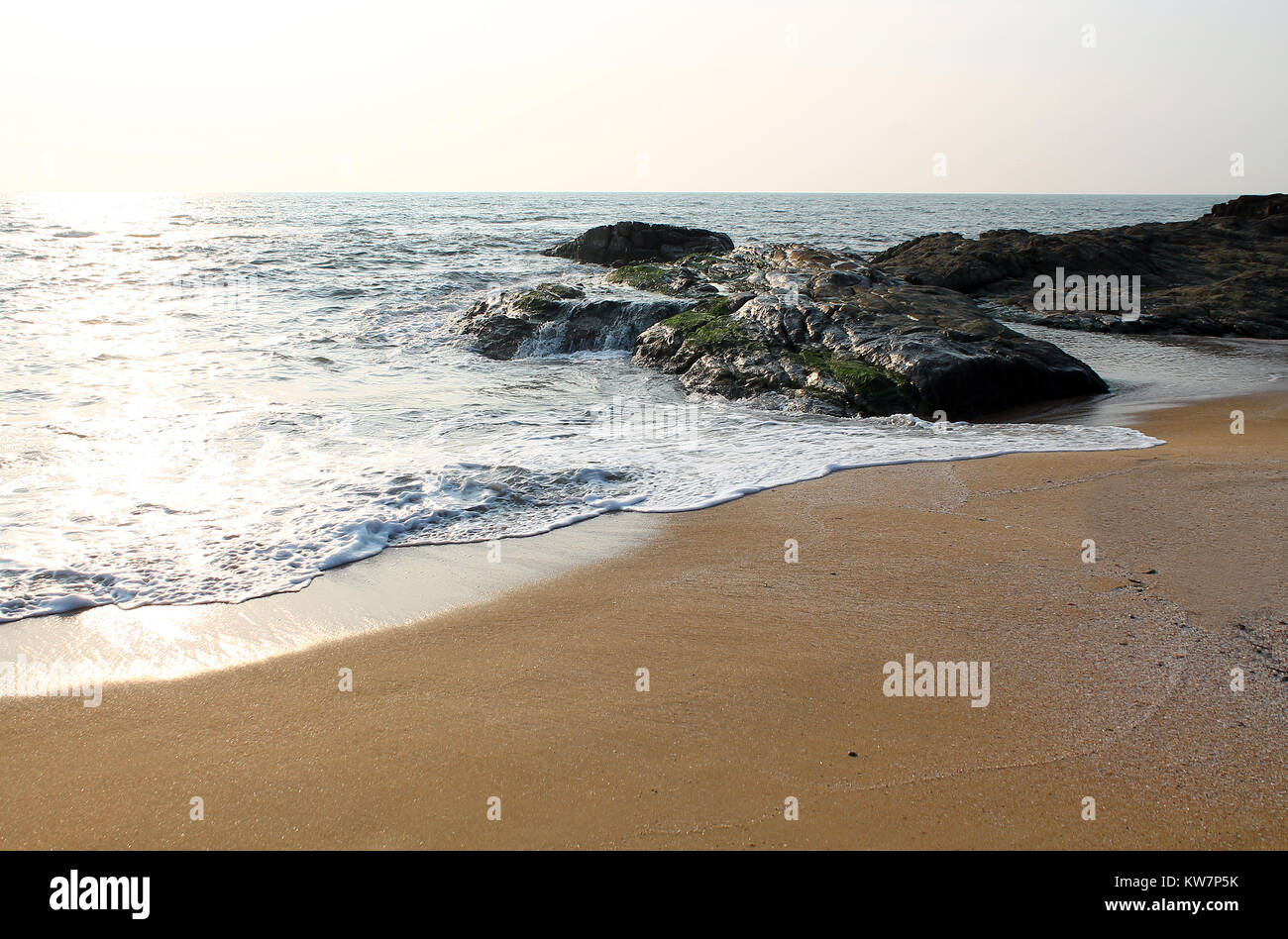 Kerala sea shells hi-res stock photography and images - Alamy