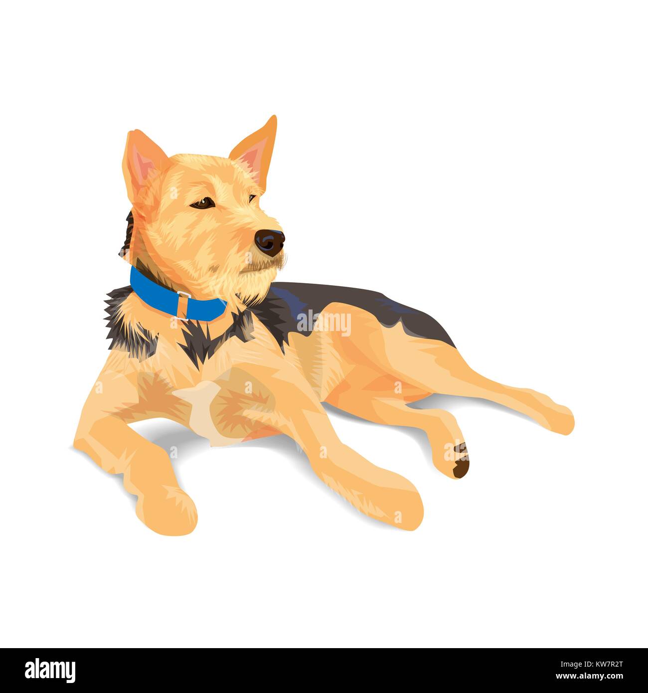 Crossbreed dog portrait Stock Vector Images - Alamy
