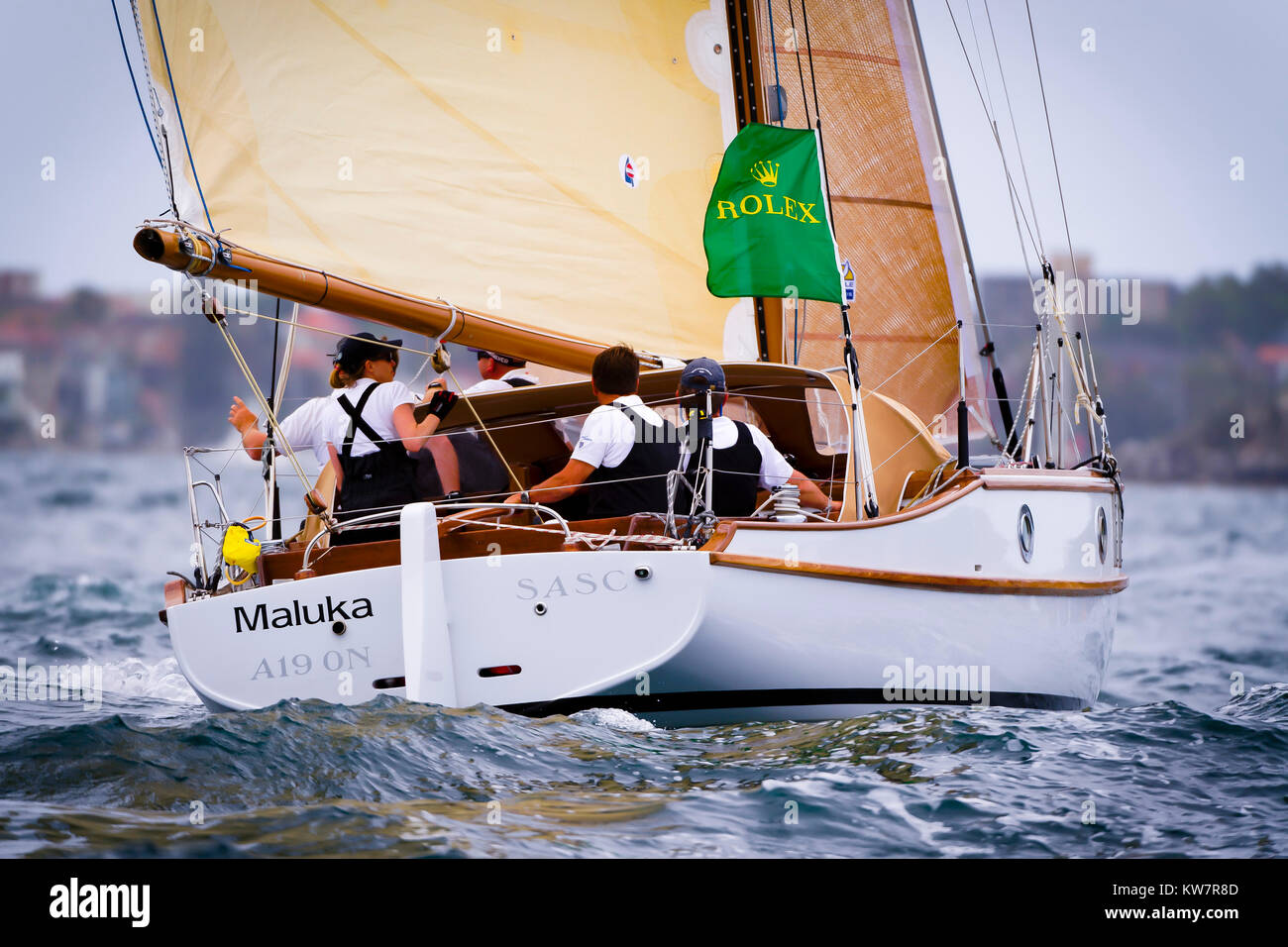 Maluka langman hi-res stock photography and images - Alamy