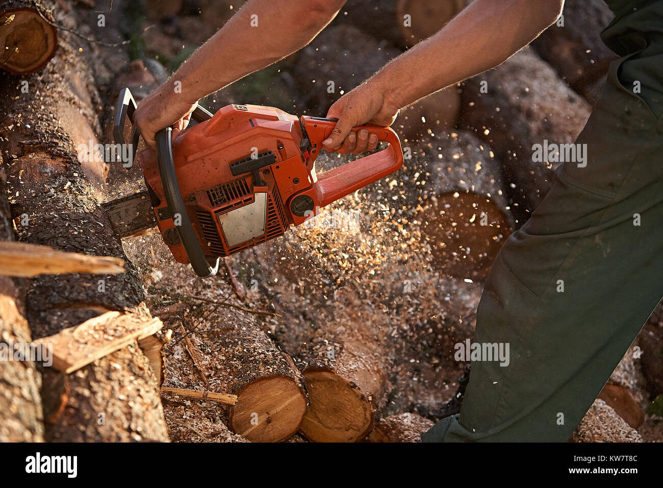 A man cutting tree with chainsaw Stock Photo - Alamy