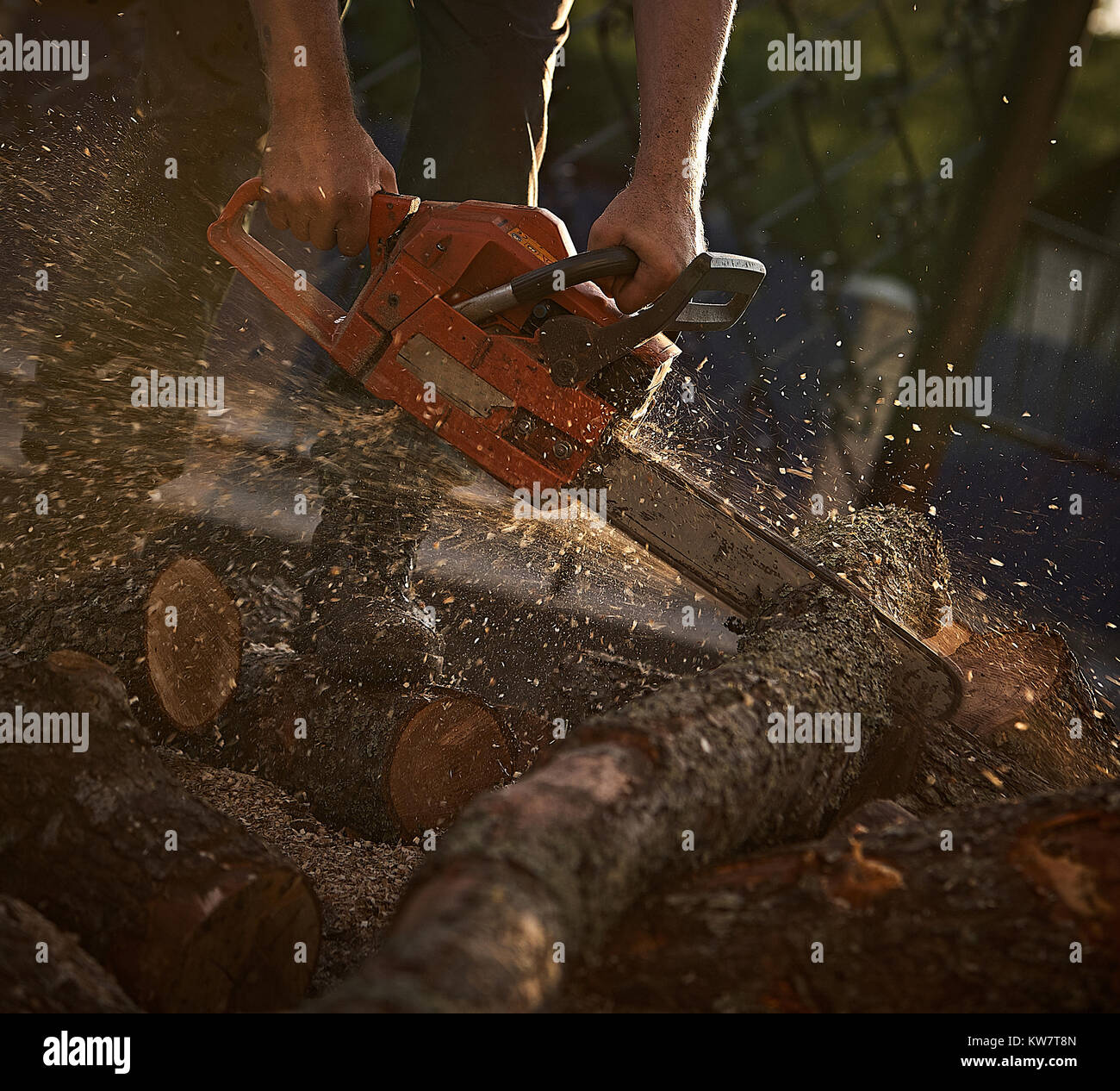 A man cutting tree with chainsaw Stock Photo - Alamy