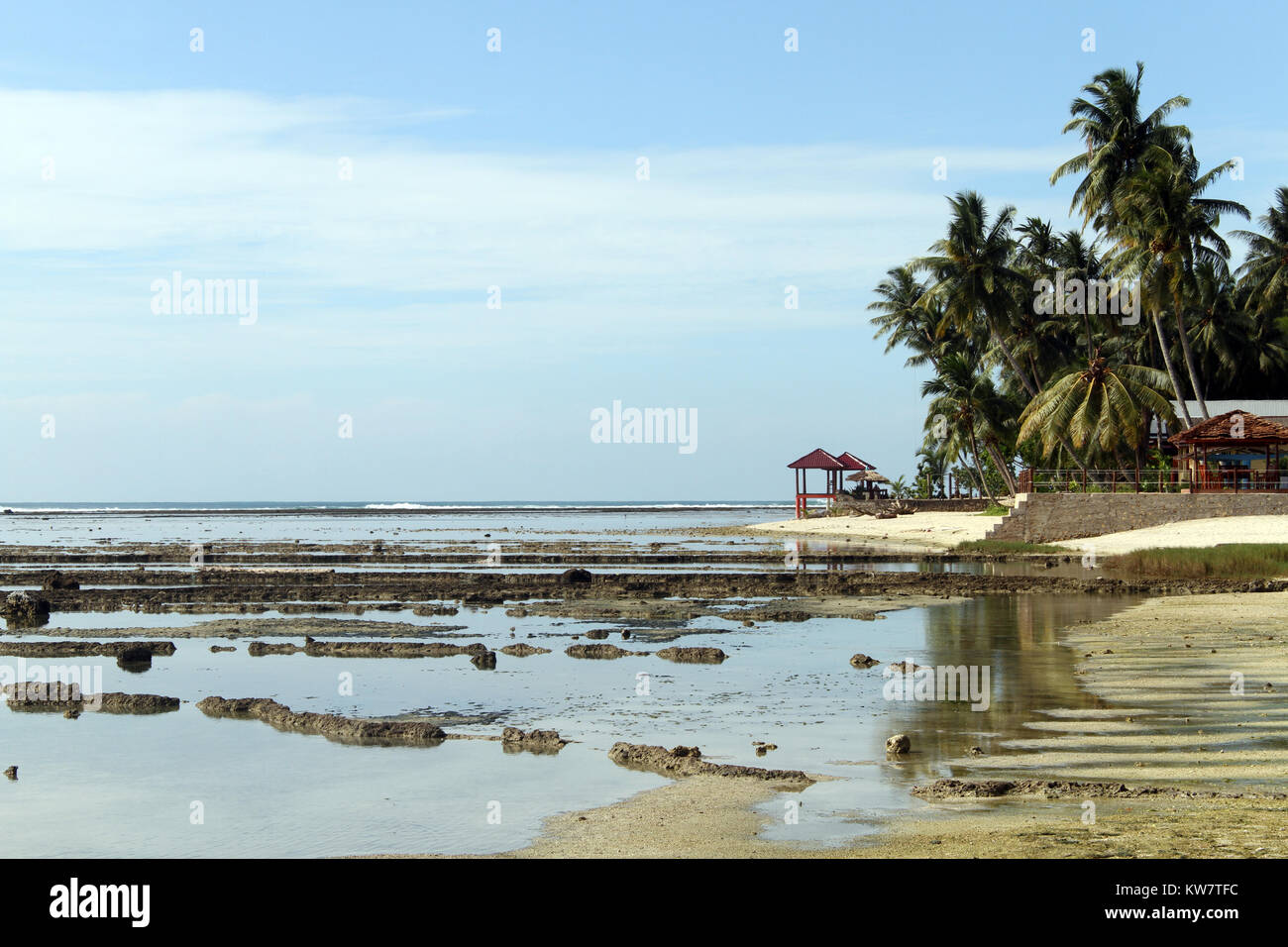 Nias hi-res stock photography and images - Alamy