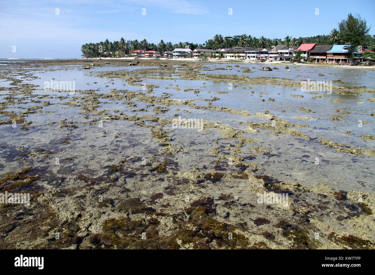 Low tide on the Pantai Sorake beach in Nias island, Indonesia Stock ...