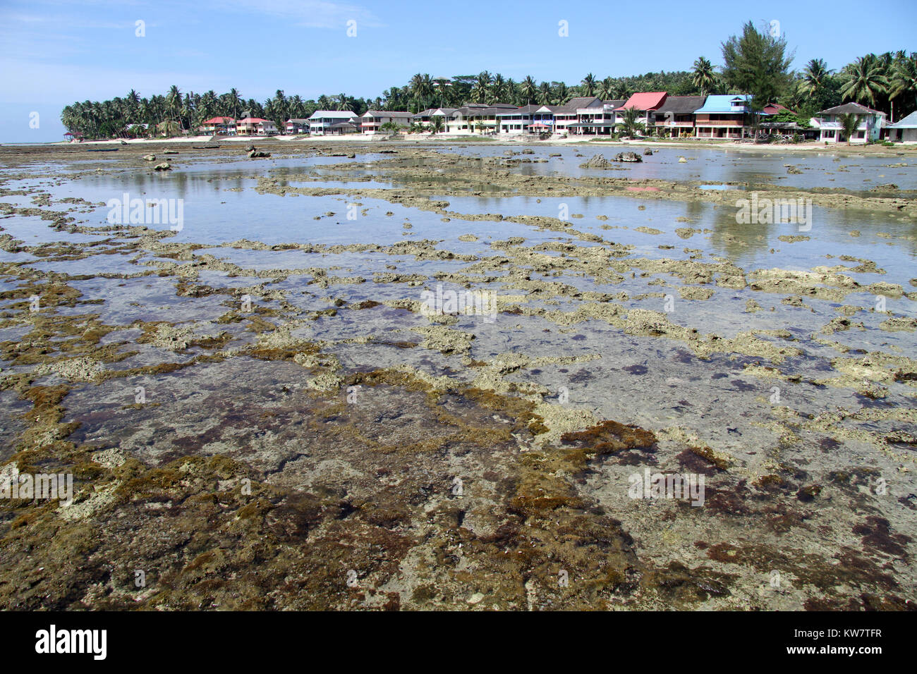 Low tide on the Pantai Sorake beach in Nias island, Indonesia Stock ...