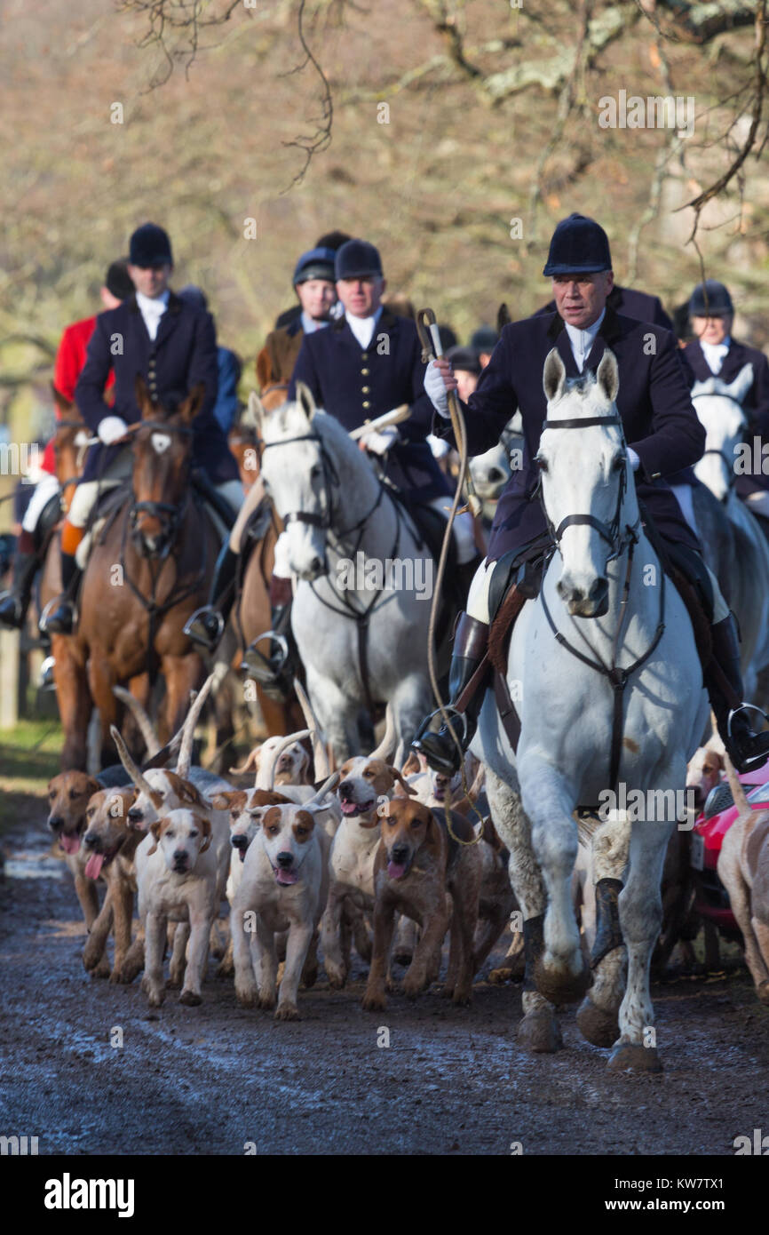 Petworth drag hunting hi-res stock photography and images - Alamy