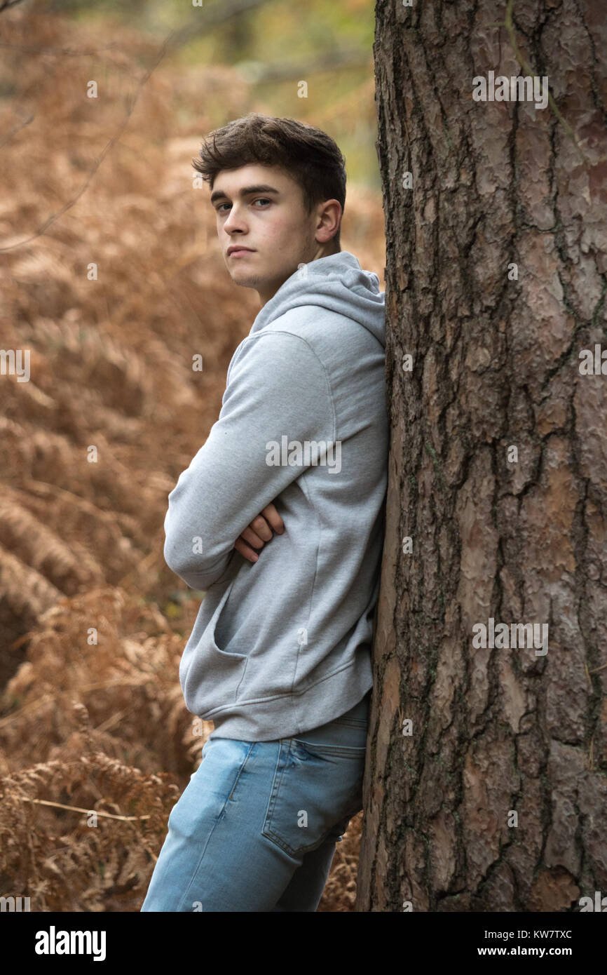 Teenage boy leaning against a tree on an autumn day Stock Photo - Alamy