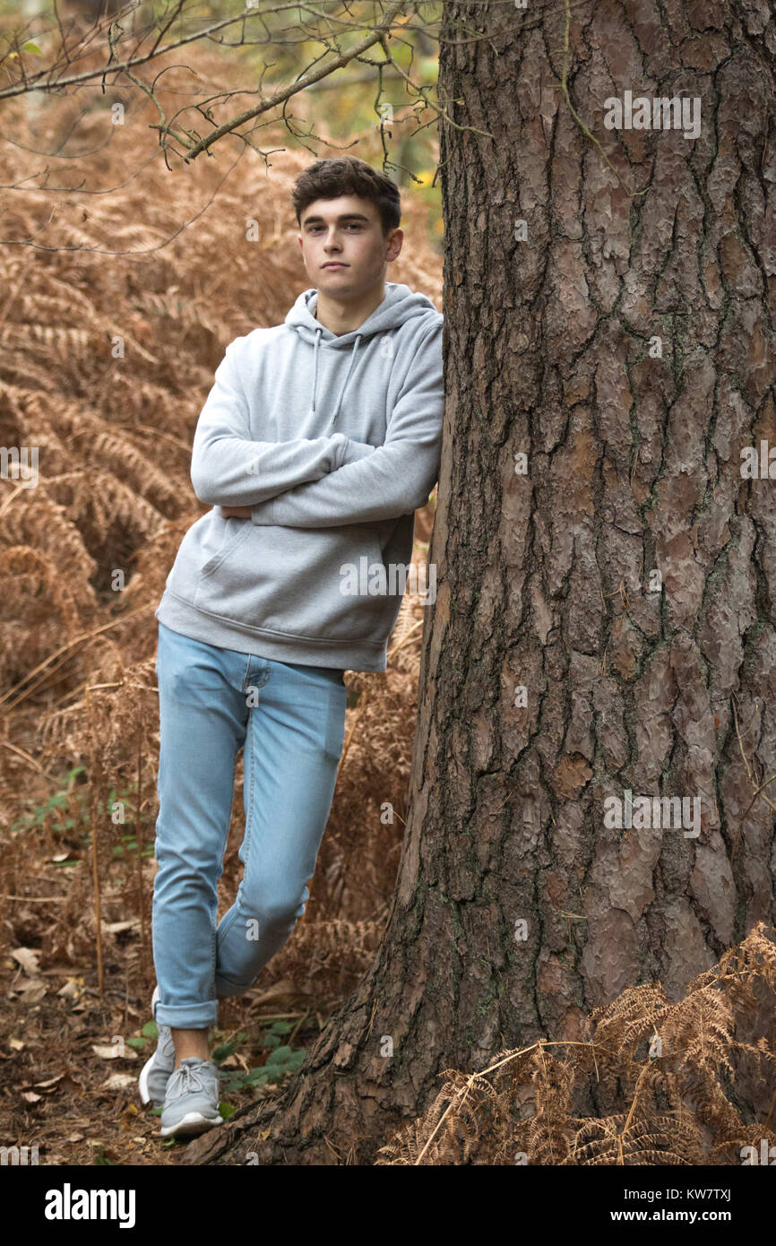Teenage boy leaning against a tree on an autumn day Stock Photo - Alamy