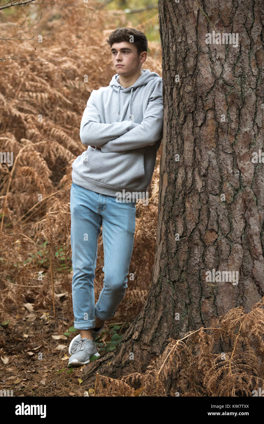 Teenage boy leaning against a tree on an autumn day Stock Photo - Alamy