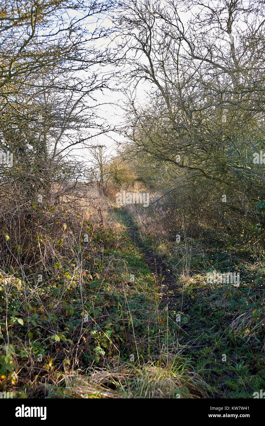 Driffield navigation canal hi-res stock photography and images - Alamy