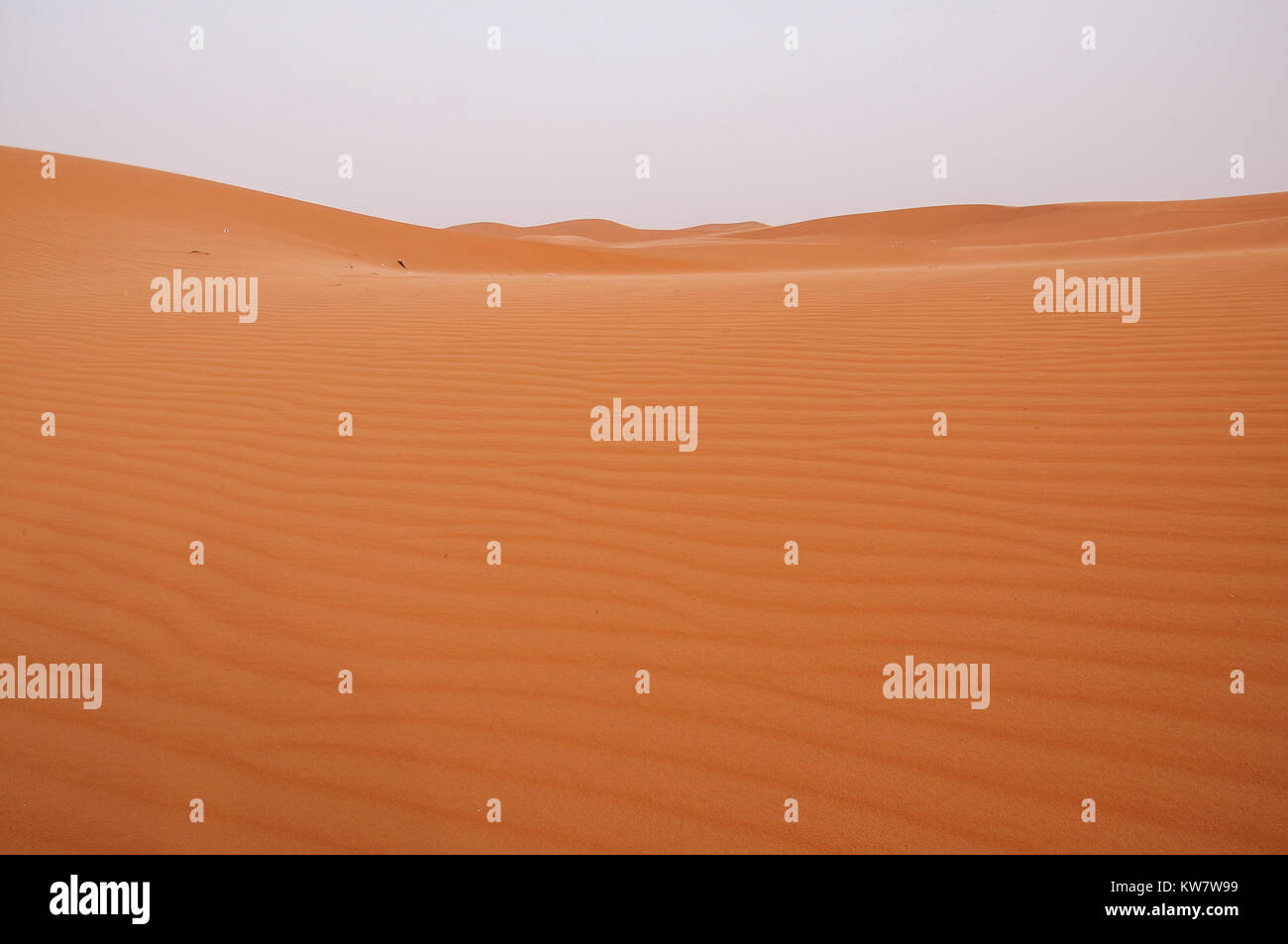 The view of Riyadh desert Stock Photo - Alamy