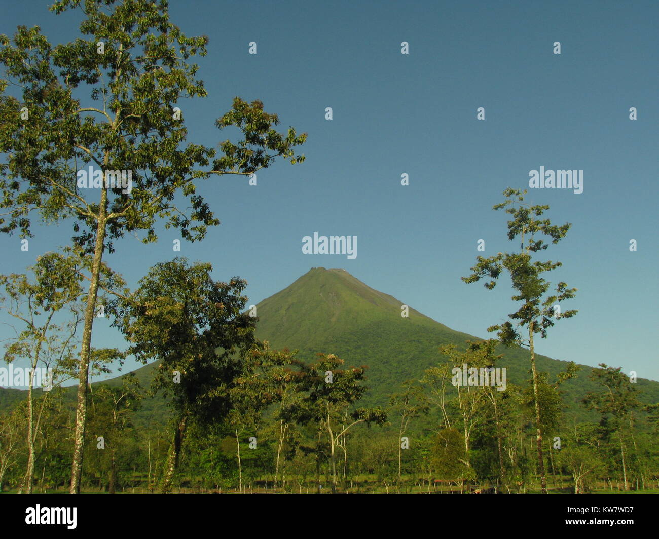 Arenal volcano in Costa Rica Stock Photo - Alamy