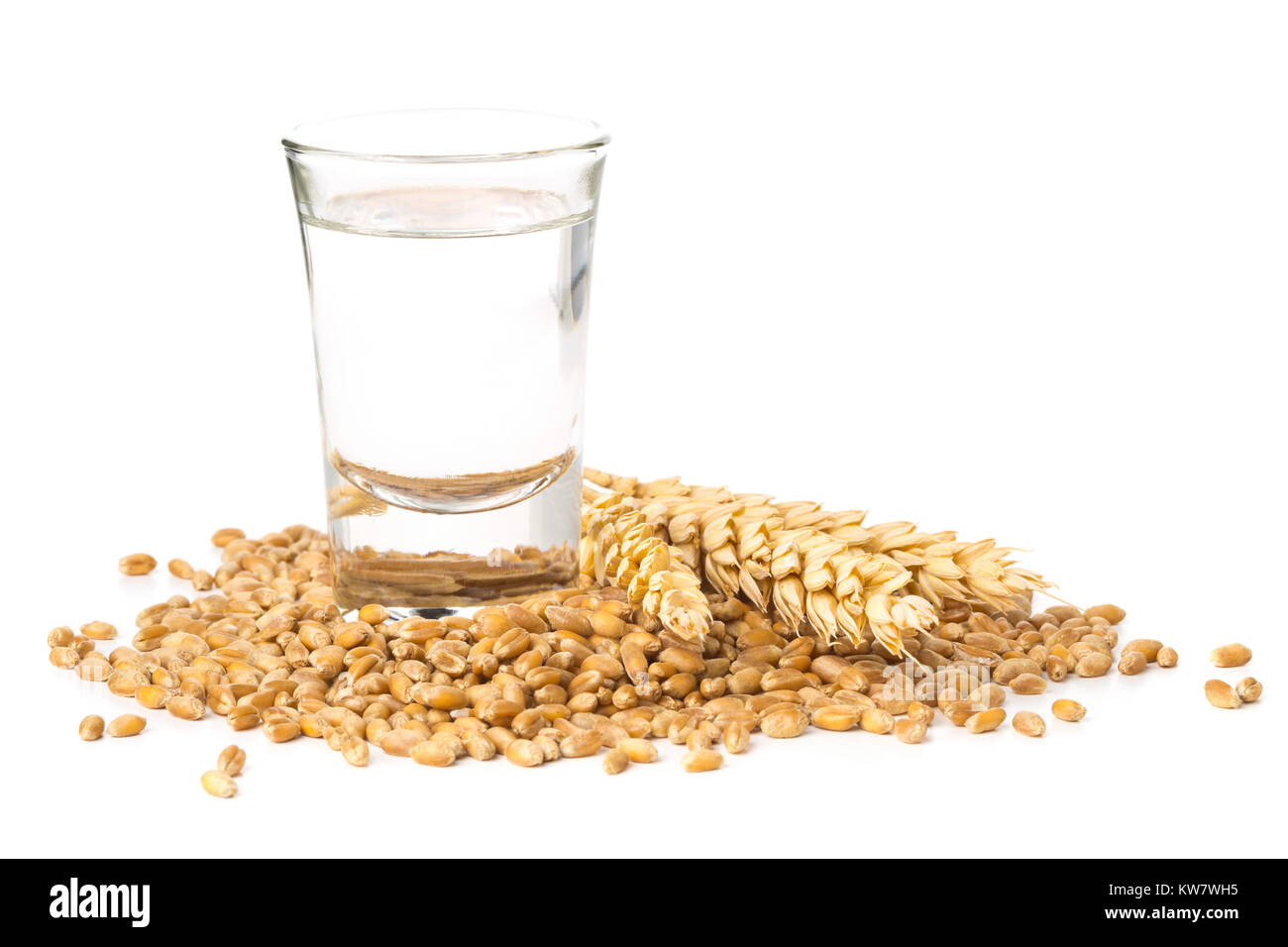 German hard liquor Korn Schnapps in shot glass with wheat grains and ...