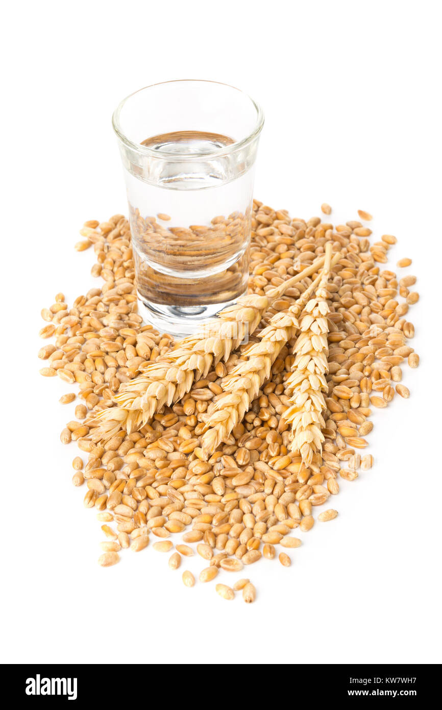 German hard liquor Korn Schnapps in shot glass with wheat grains and ...