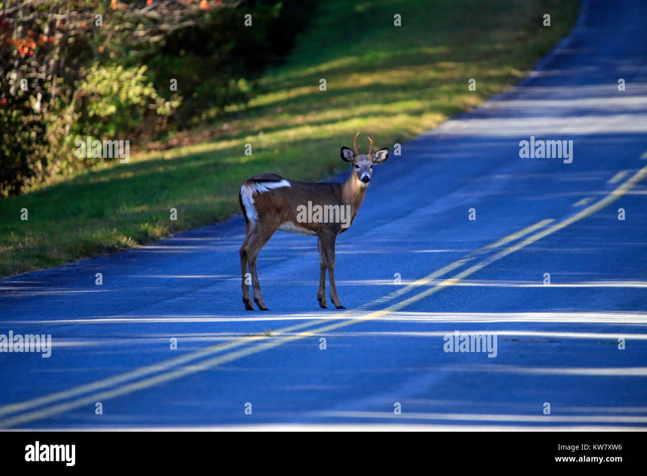 Highway hazards hi-res stock photography and images - Alamy