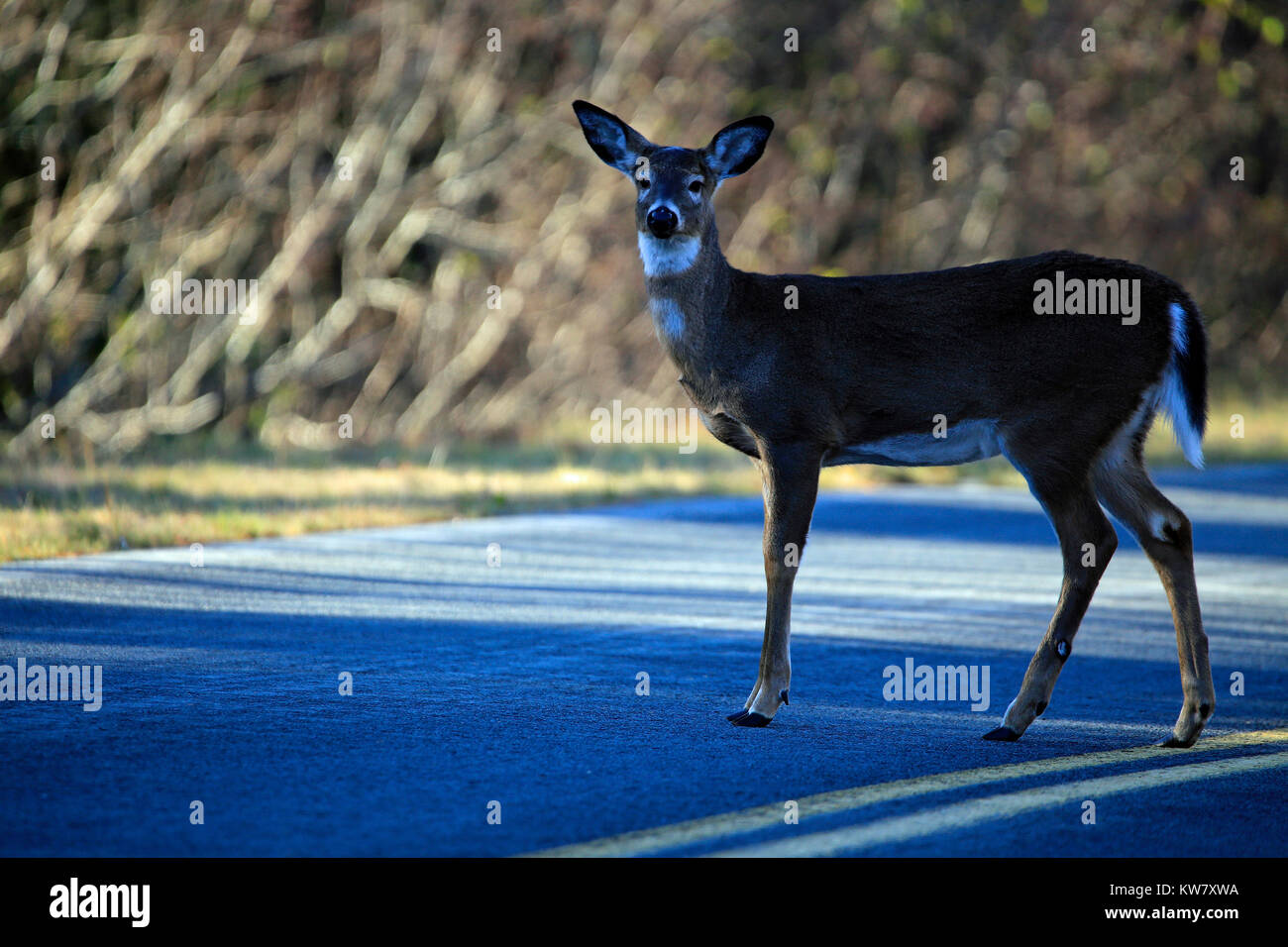 Highway hazards hi-res stock photography and images - Alamy