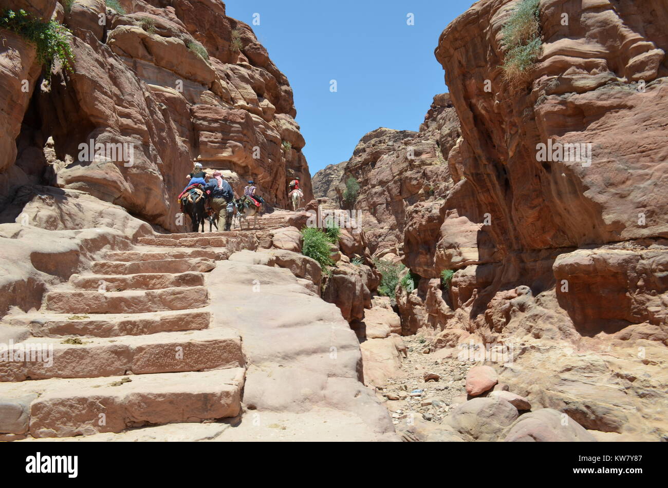 Petra UNESCO World Wonder Jordan Stock Photo - Alamy