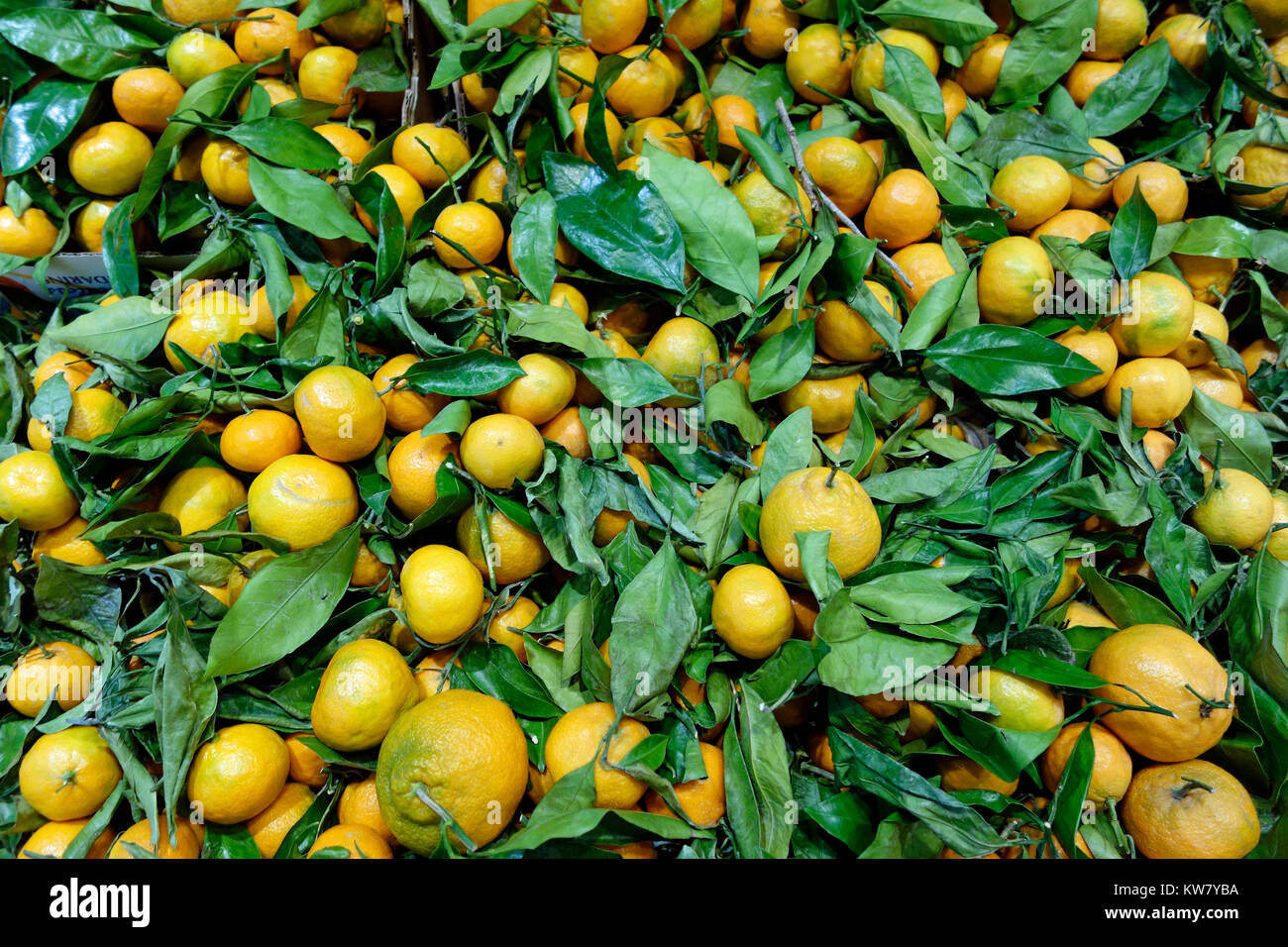 Satsuma hi-res stock photography and images - Alamy