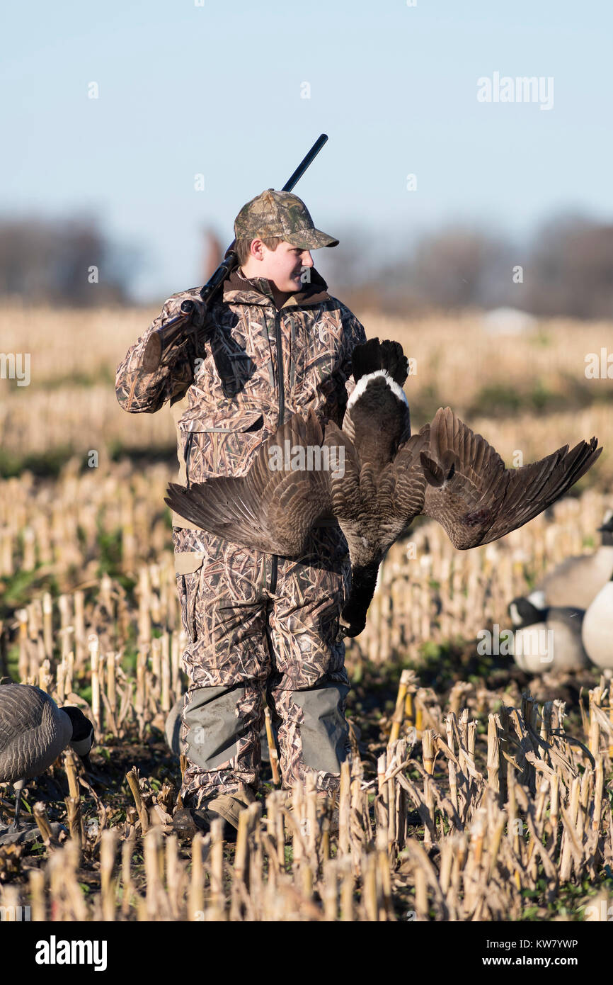 A young hunter with a Canada Goose in a cornfield Stock Photo - Alamy