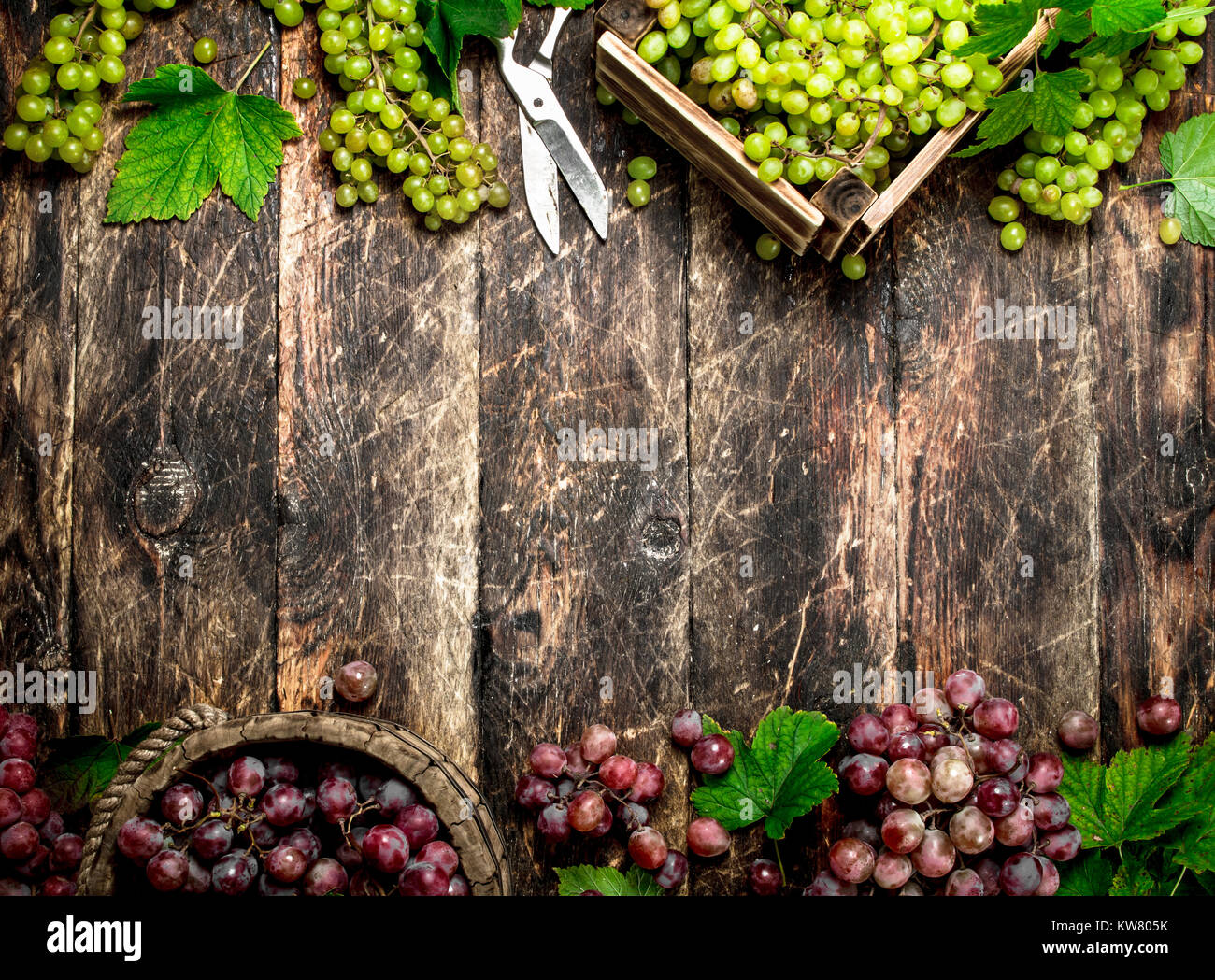 Grapes harvest red boxes hi-res stock photography and images - Alamy