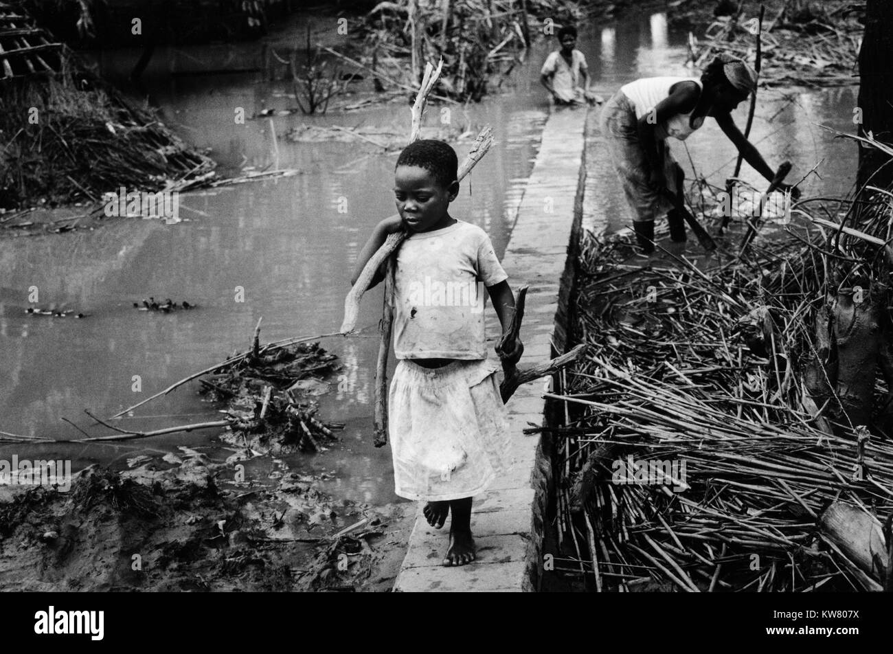 Floods in Mozambique, March 2000; In the still partly flooded town of ...