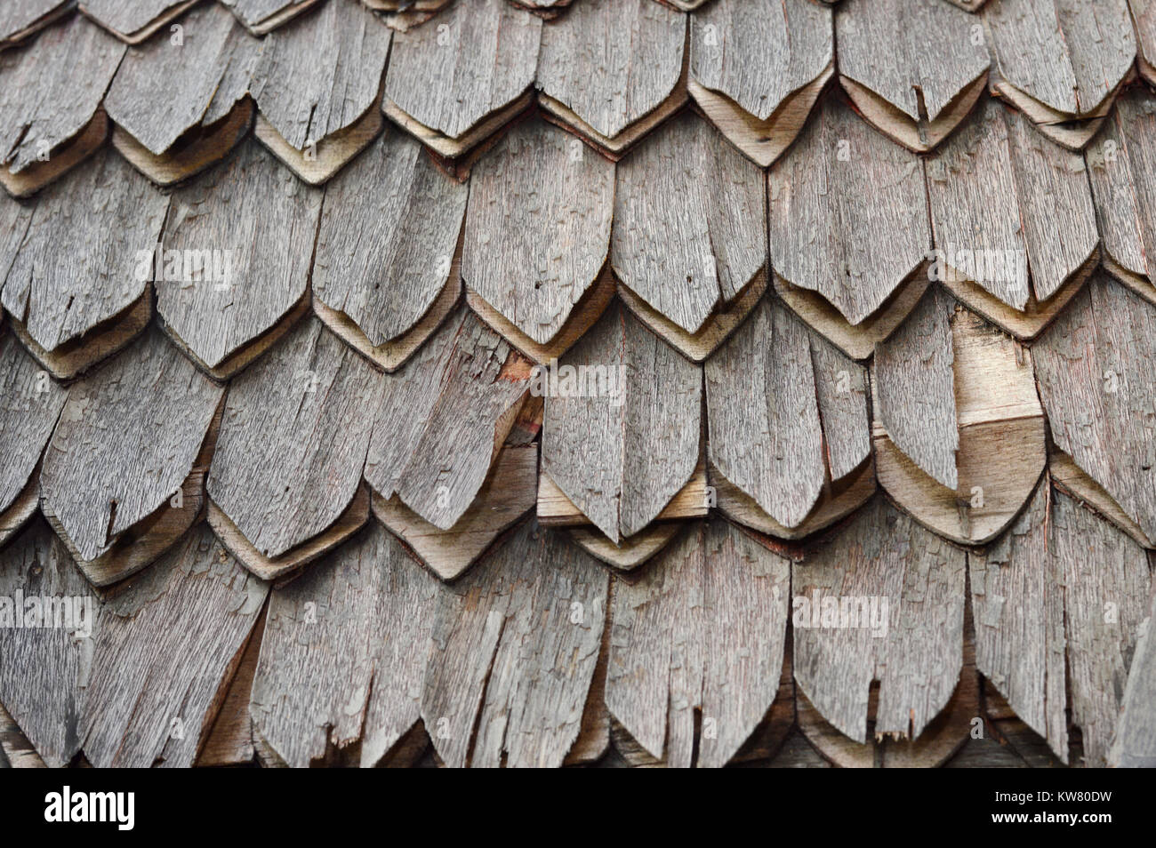pattern and texture of wooden roof Stock Photo - Alamy