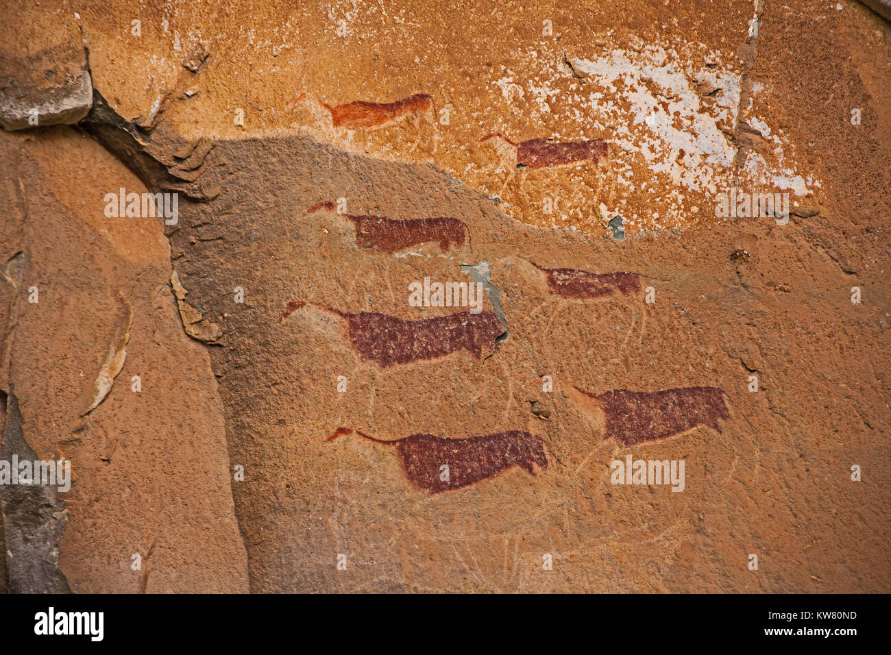 San bushmen cave rock art paintings hi-res stock photography and images ...