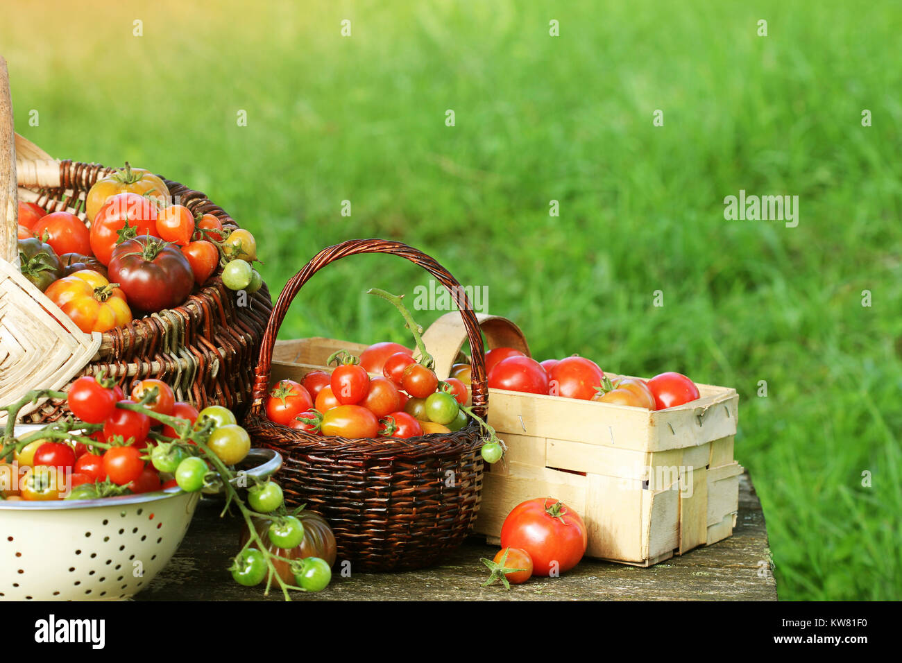 Heirloom variety tomatoes in baskets on rustic table. Colorful tomato ...