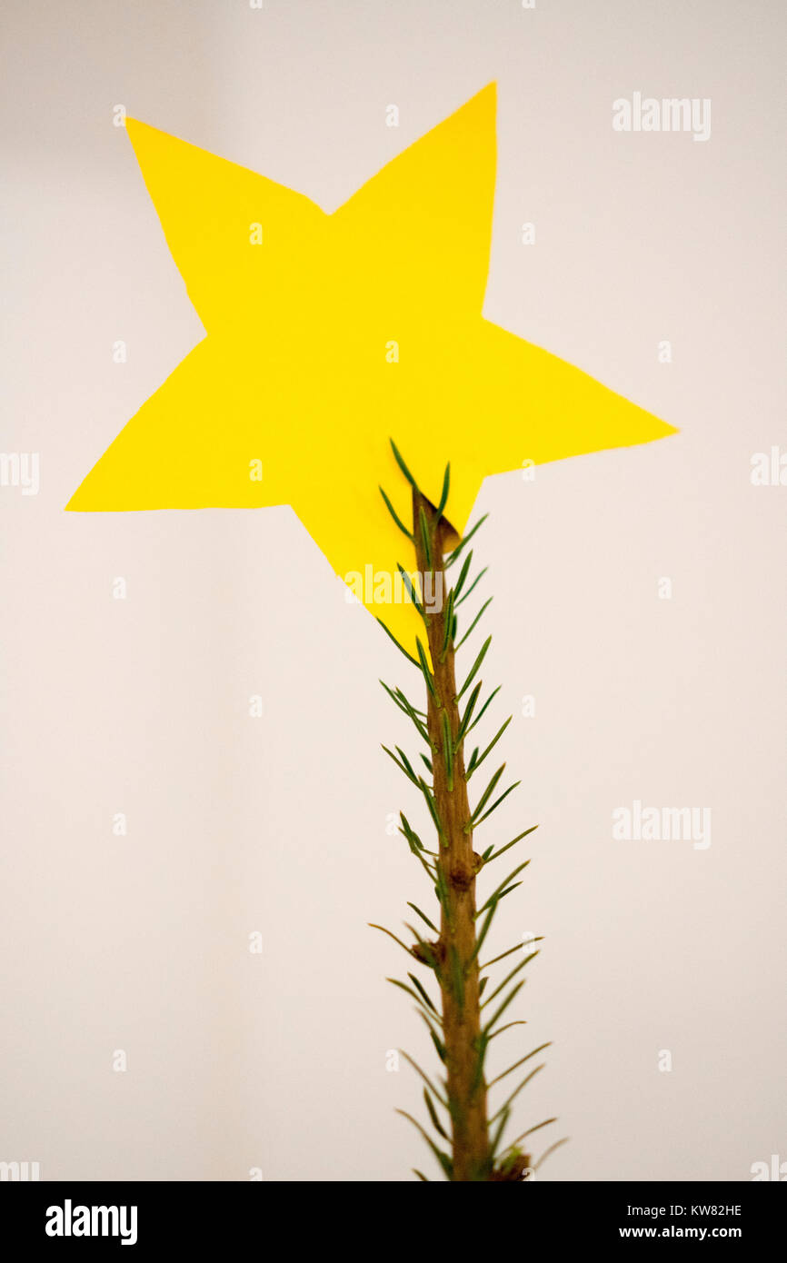 Pine needles christmas hi-res stock photography and images - Alamy