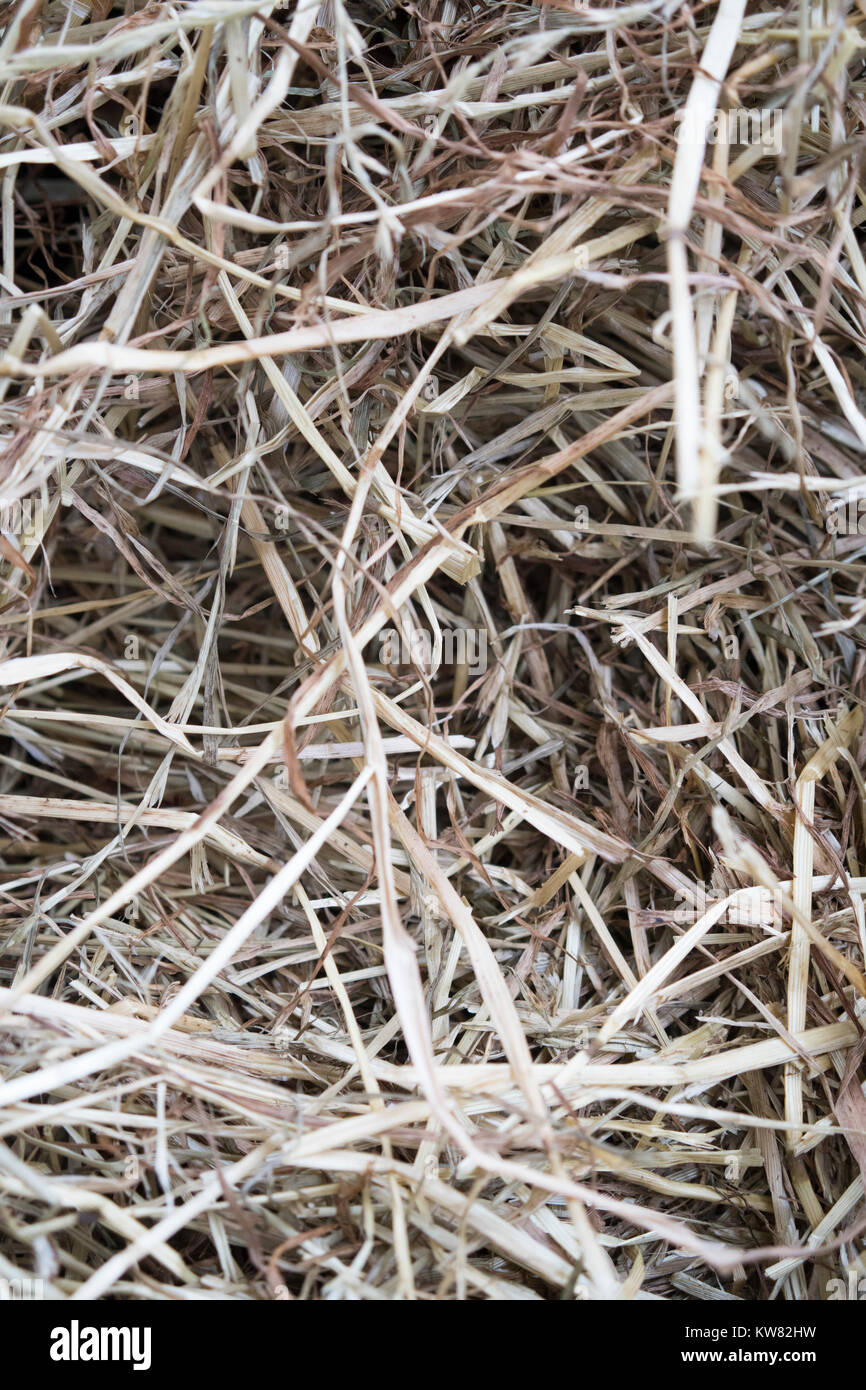 Heap of hay hi-res stock photography and images - Alamy