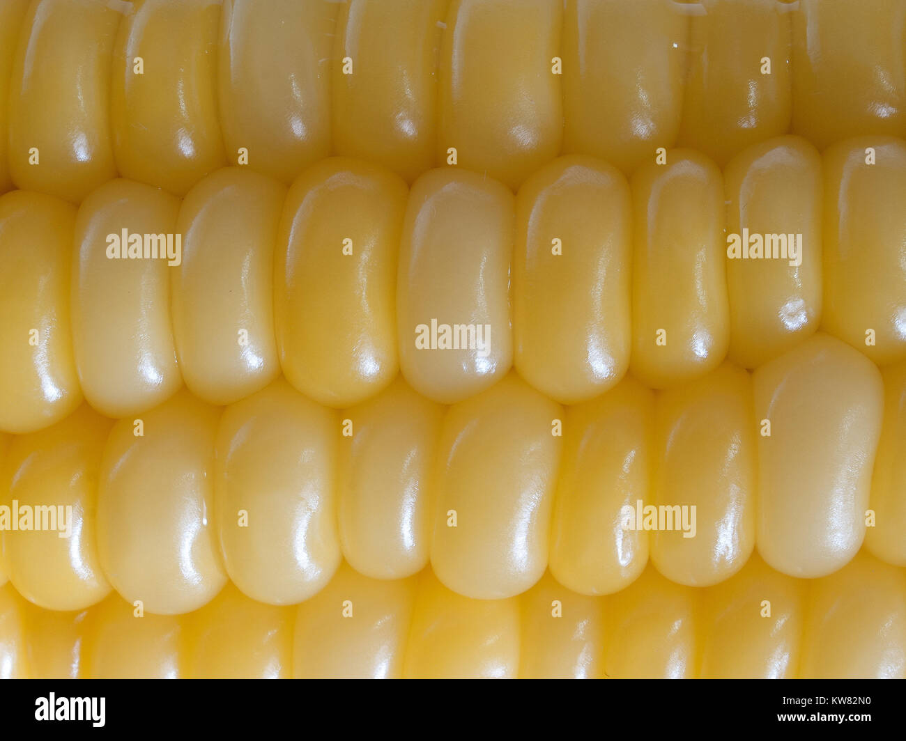 Boiled corn on a plate Stock Photo - Alamy