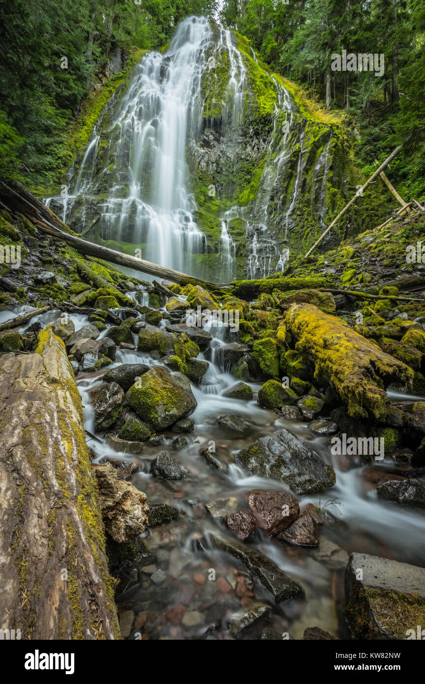 Wide Angle of Proxy Falls from the Bottom Stock Photo - Alamy