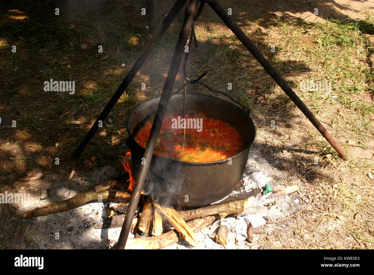 Cooking stew in large kettle hanging over fire Stock Photo: 170438075 ...