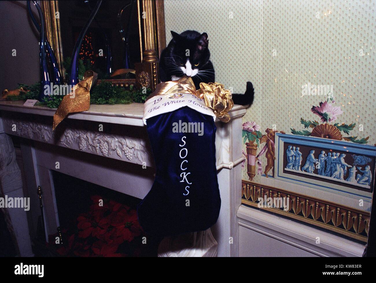 President clinton with socks the cat hi-res stock photography and ...