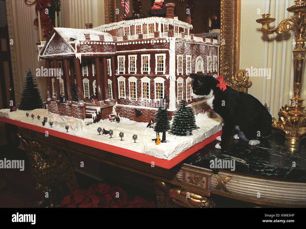 Socks the Cat, the First Pet of President Bill Clinton and First Wife ...