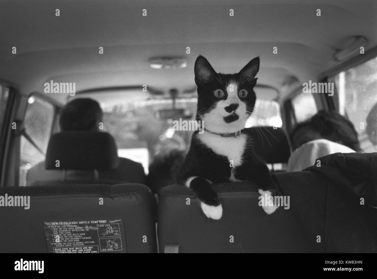 Washington dc us september Black and White Stock Photos & Images - Alamy