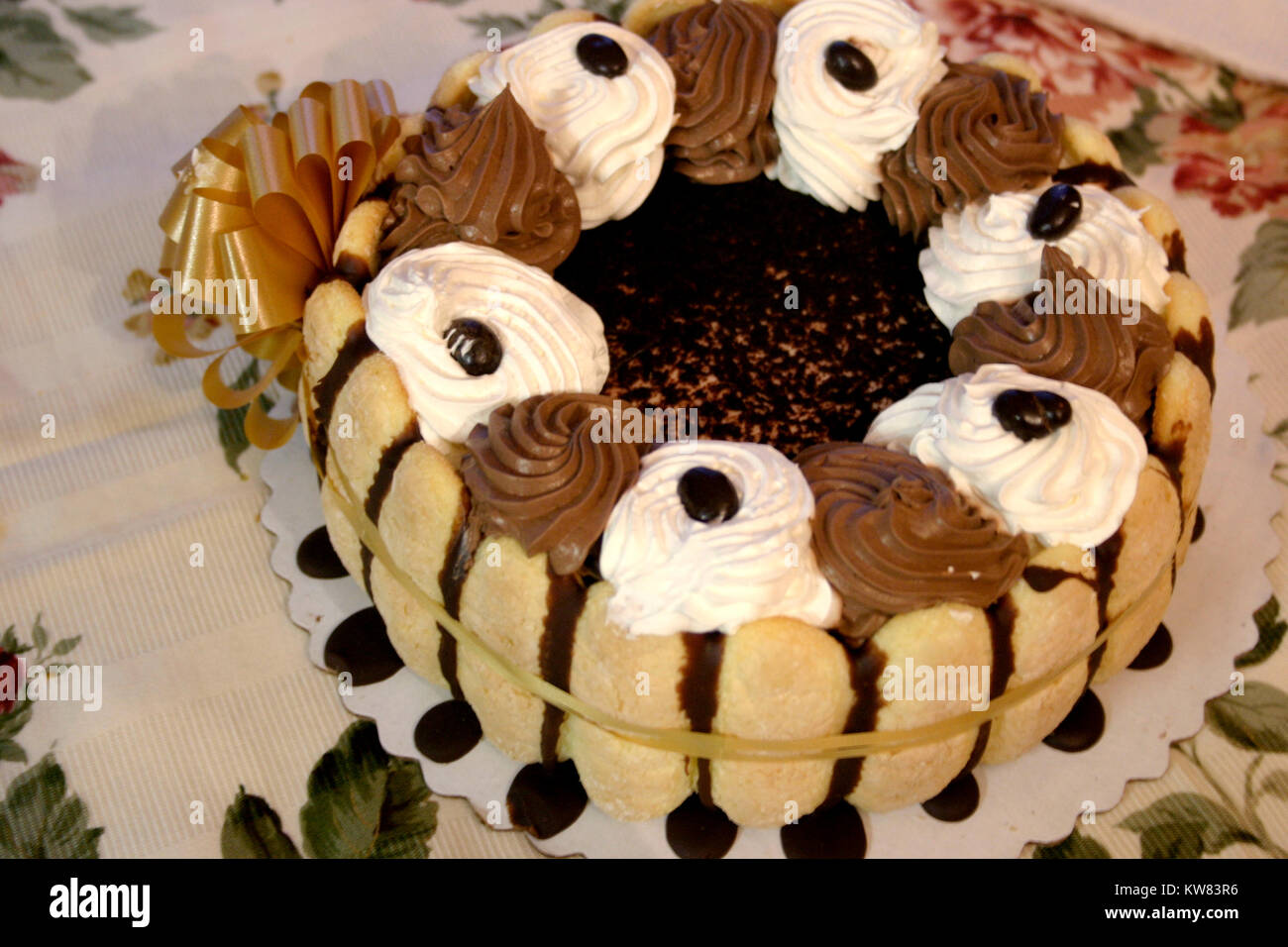 Appetizing cake with ladyfingers, chocolate and cream Stock Photo - Alamy