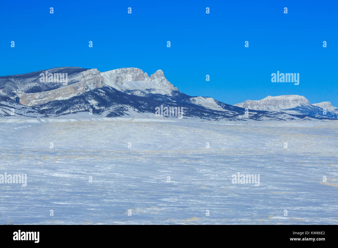 sawtooth ridge and castle reef above the prairie in winter near augusta ...