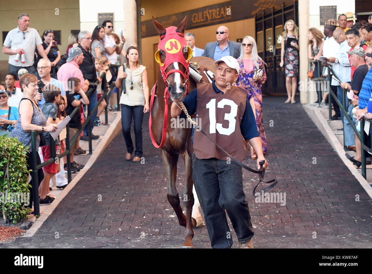000 00 starter stakes on opening day at gulfstream park hi-res stock ...