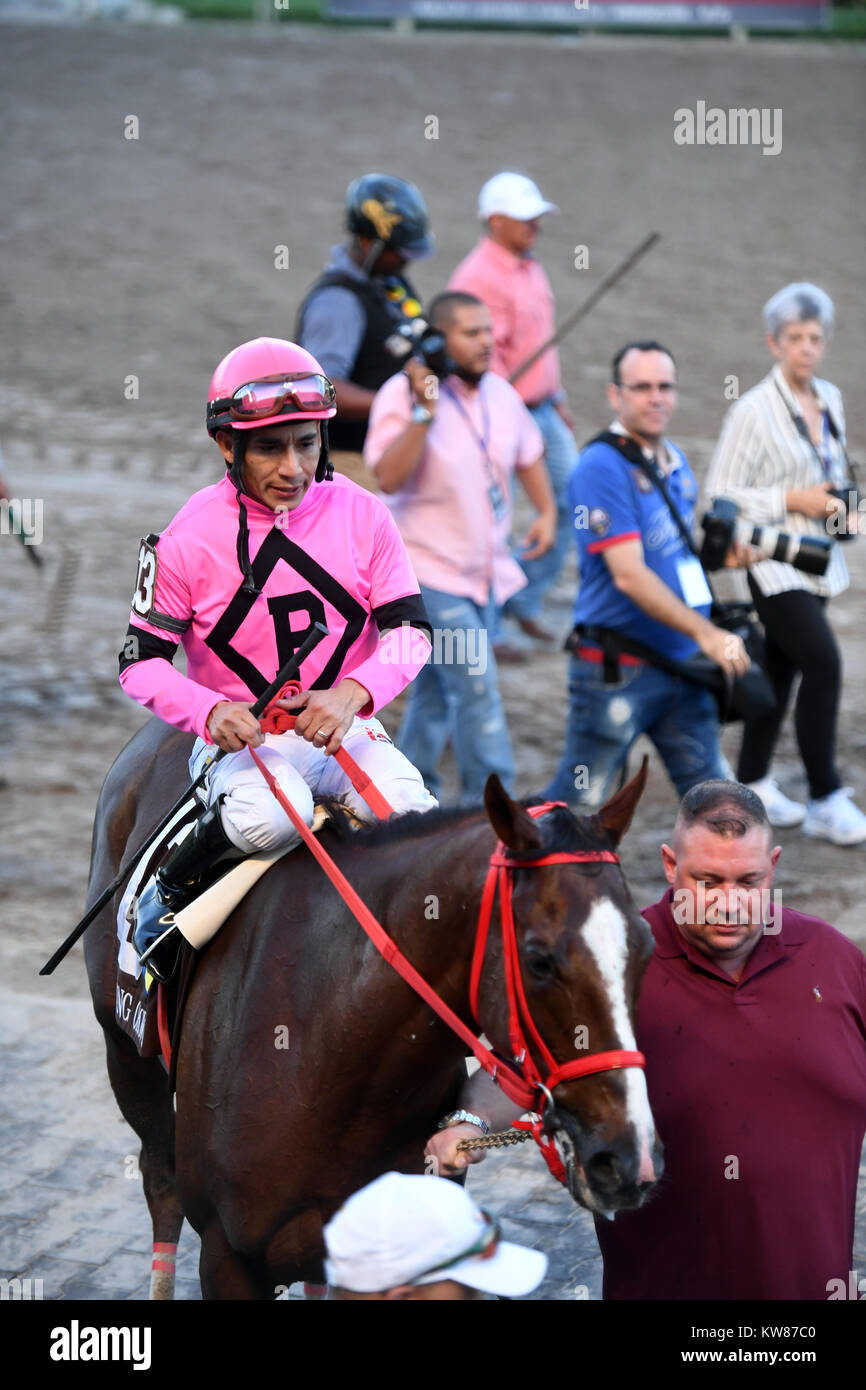 HALLANDALE, FL - DECEMBER 02: Flowers for Lisa with jockey Paco Lopez ...