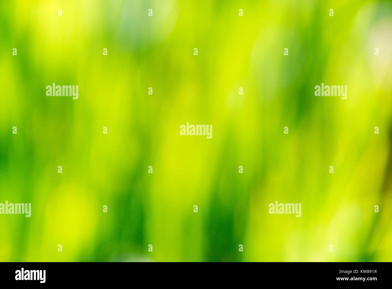 Out of focus from the nature for background Stock Photo - Alamy