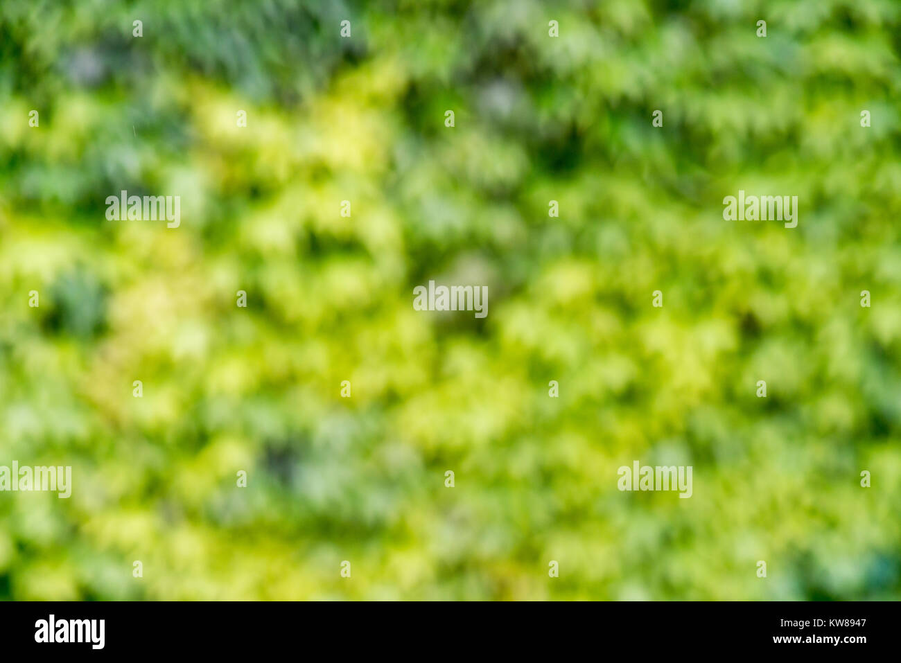 Out of focus from the nature for background Stock Photo - Alamy