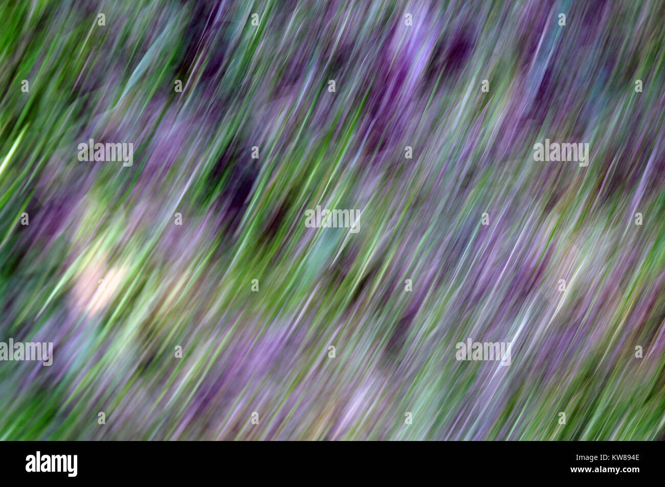 Out of focus from the nature for background Stock Photo - Alamy