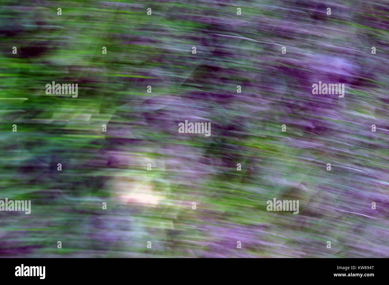 Out of focus from the nature for background Stock Photo - Alamy