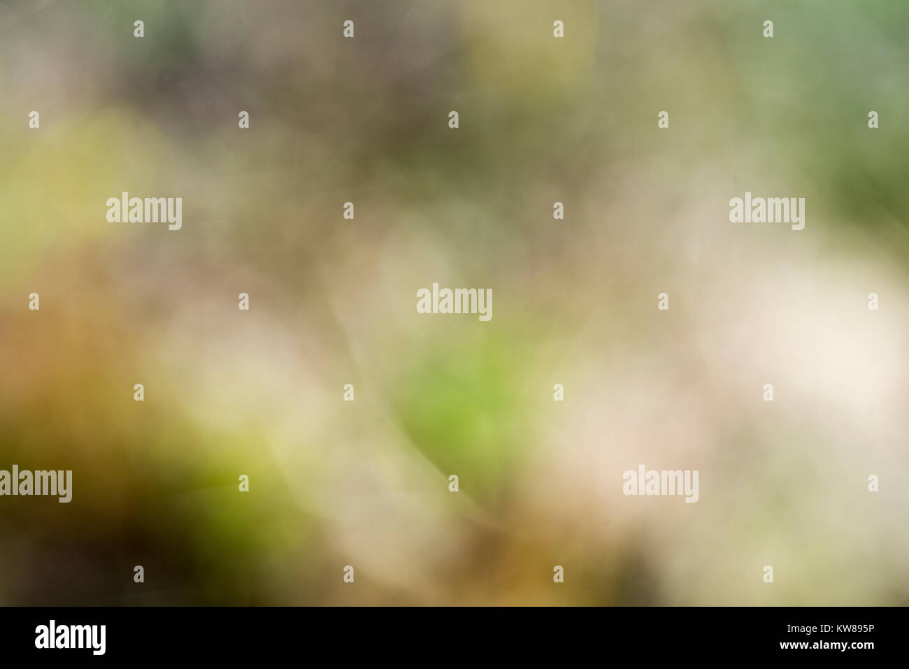 Out of focus from the nature for background Stock Photo - Alamy