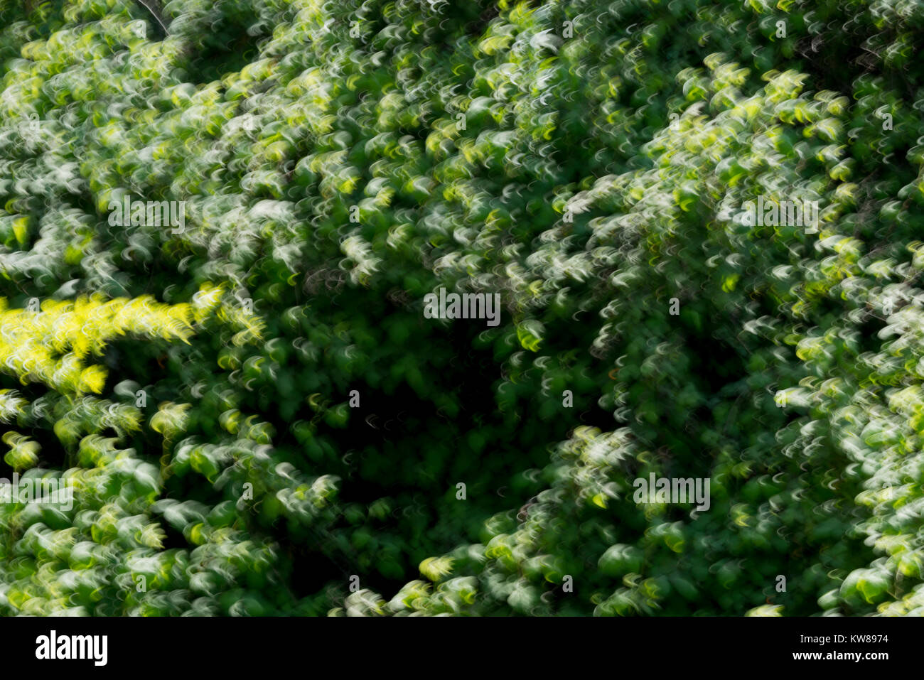 Out of focus from the nature for background Stock Photo - Alamy